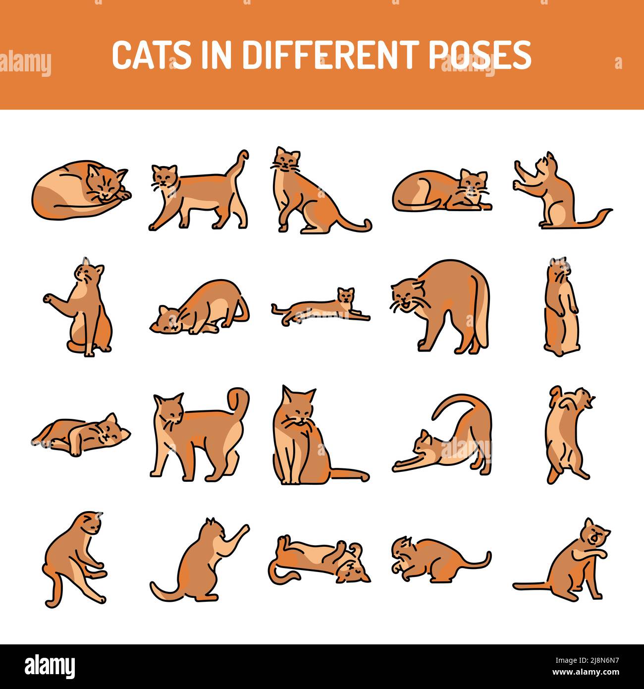 Standing and lying poses Stock Vector Images - Alamy