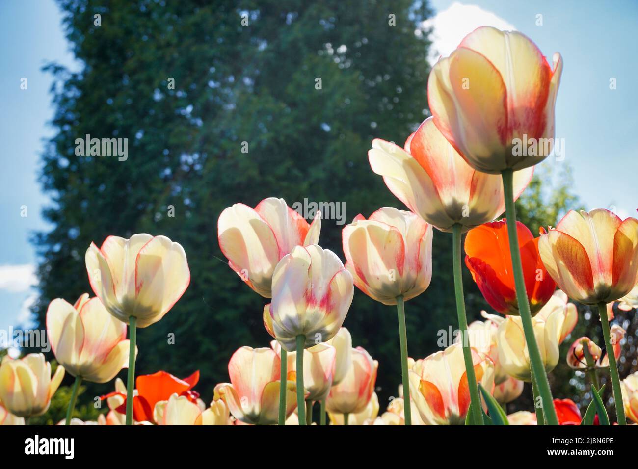 Beutifull view hi-res stock photography and images - Alamy