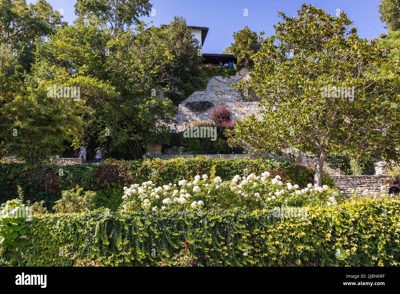 View from roses garden in The Palace architectural park and Botanical ...