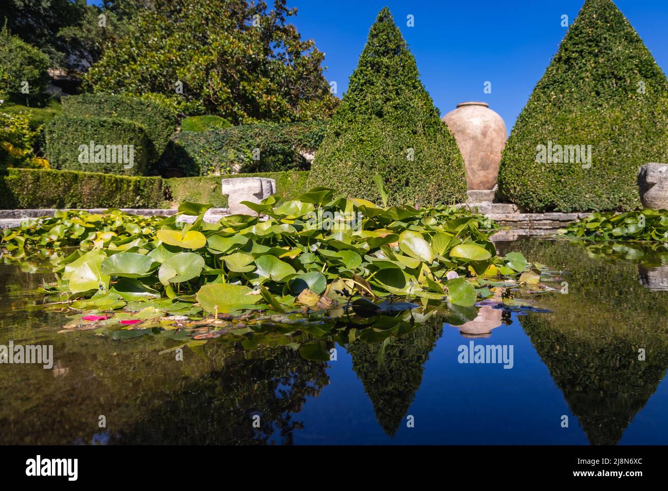 Small pond in English garden of The Palace architectural park and ...