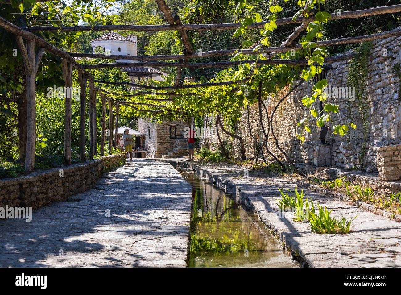 Grape Alley in The Palace architectural park and Botanical garden ...
