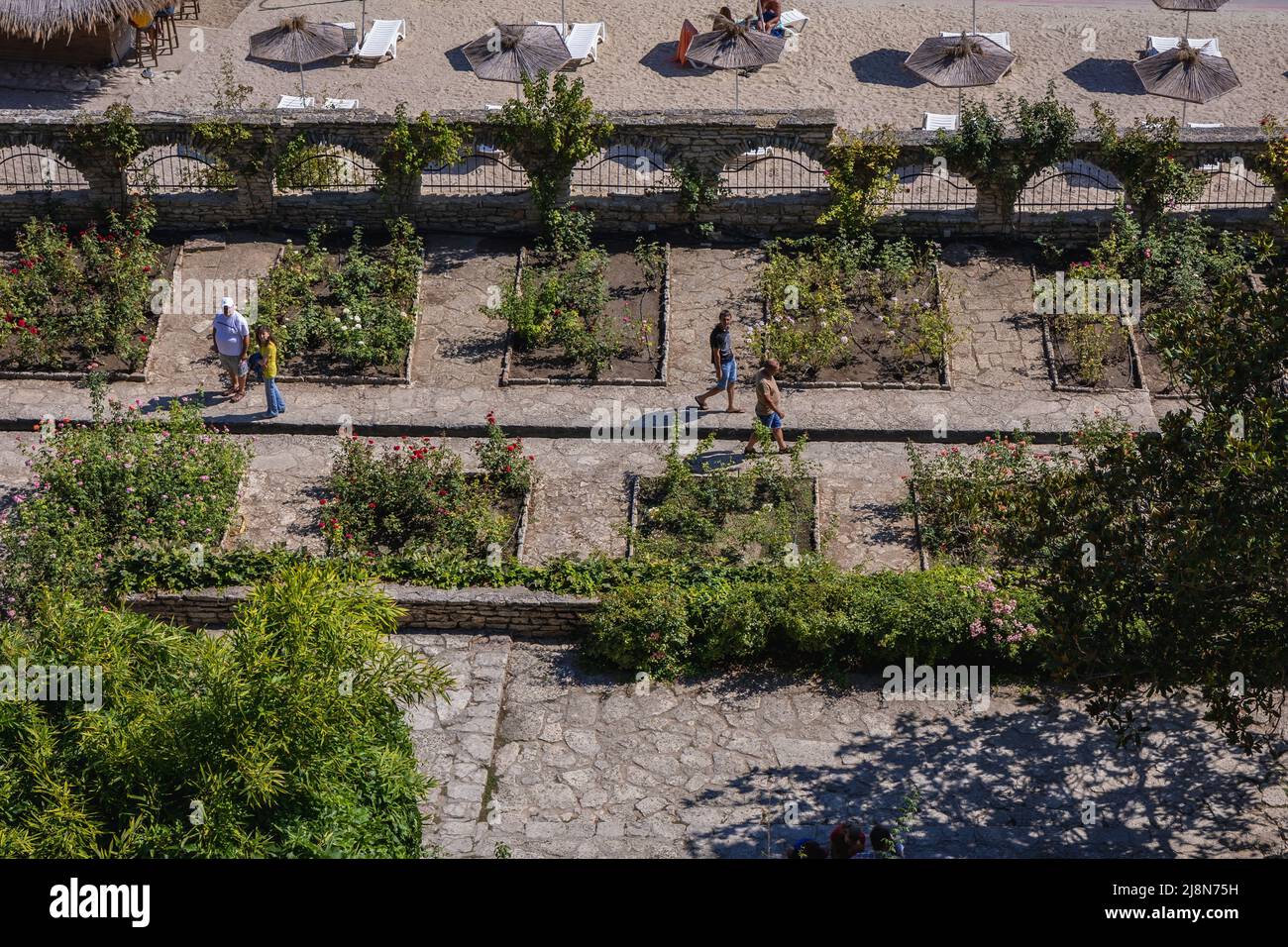 Rose garden in The Palace architectural park and Botanical garden ...