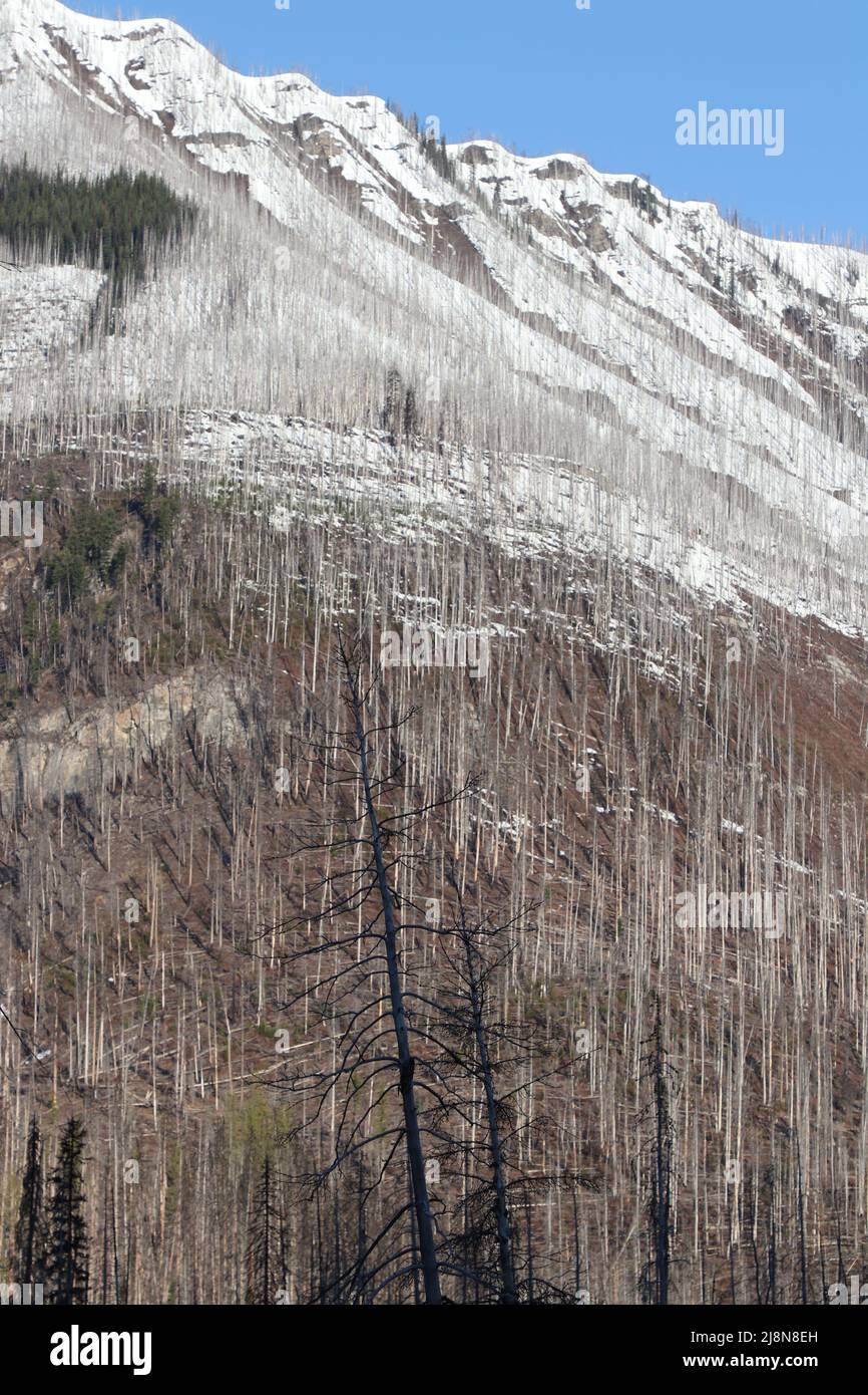 Icefields Parkway, Canada, Alberta Stock Photo - Alamy