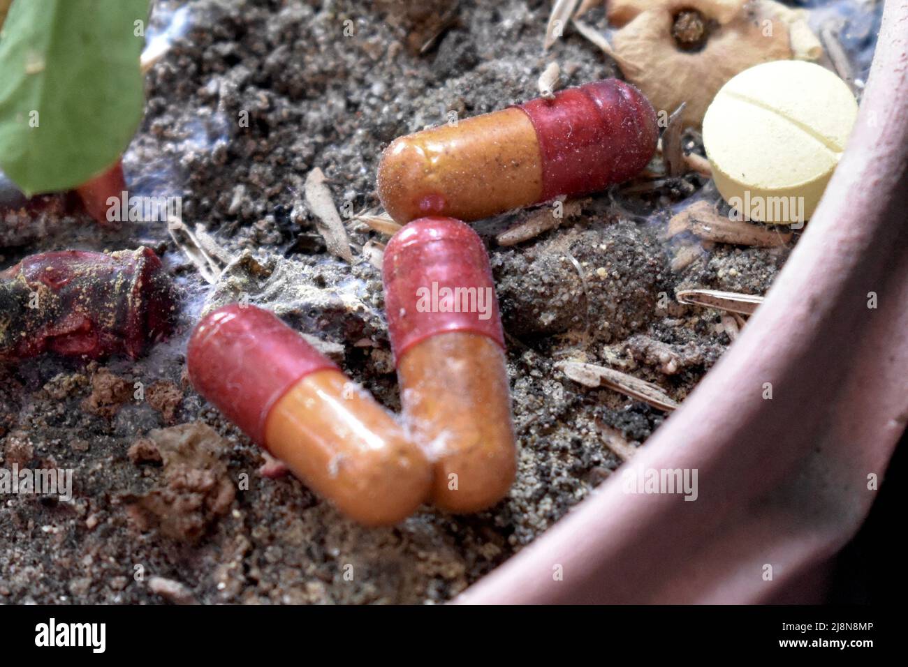 Expired medicine used as fertilizer. Closeup view Stock Photo - Alamy