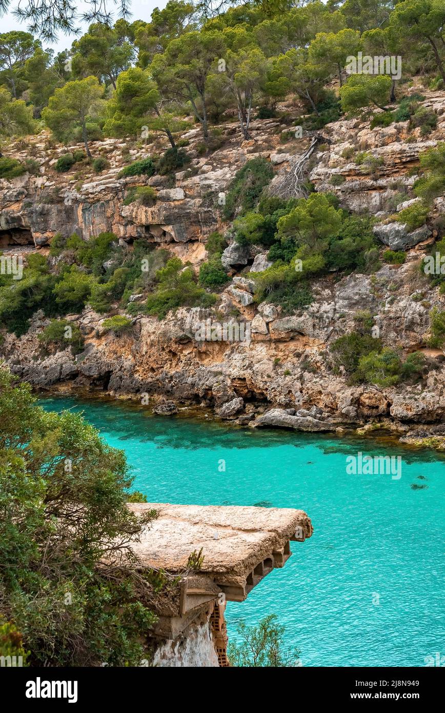 Bridge over cliff in forest hi-res stock photography and images - Alamy