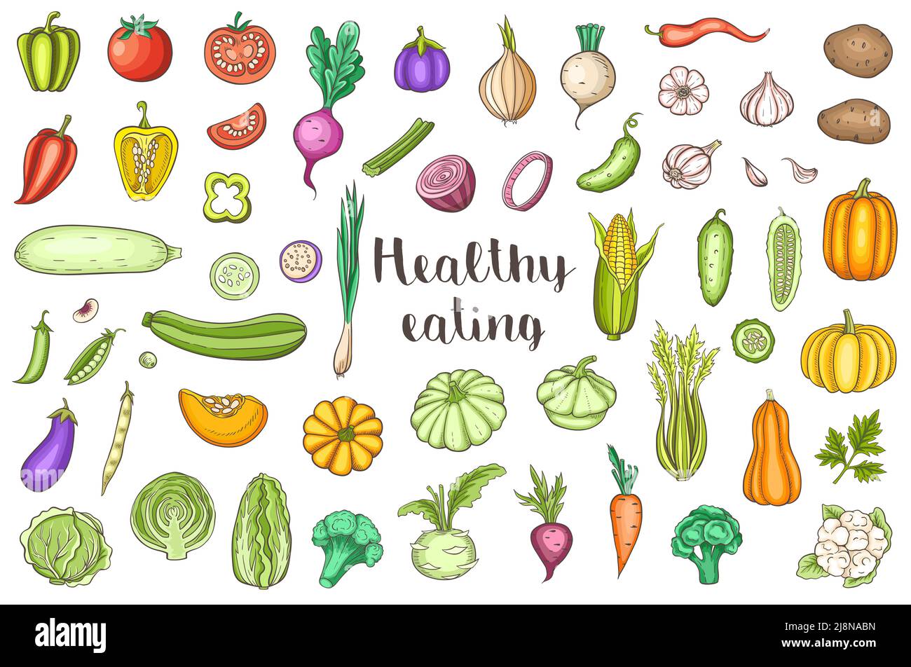 Set of hand drawn doodle vegetables on a white background Stock Photo ...