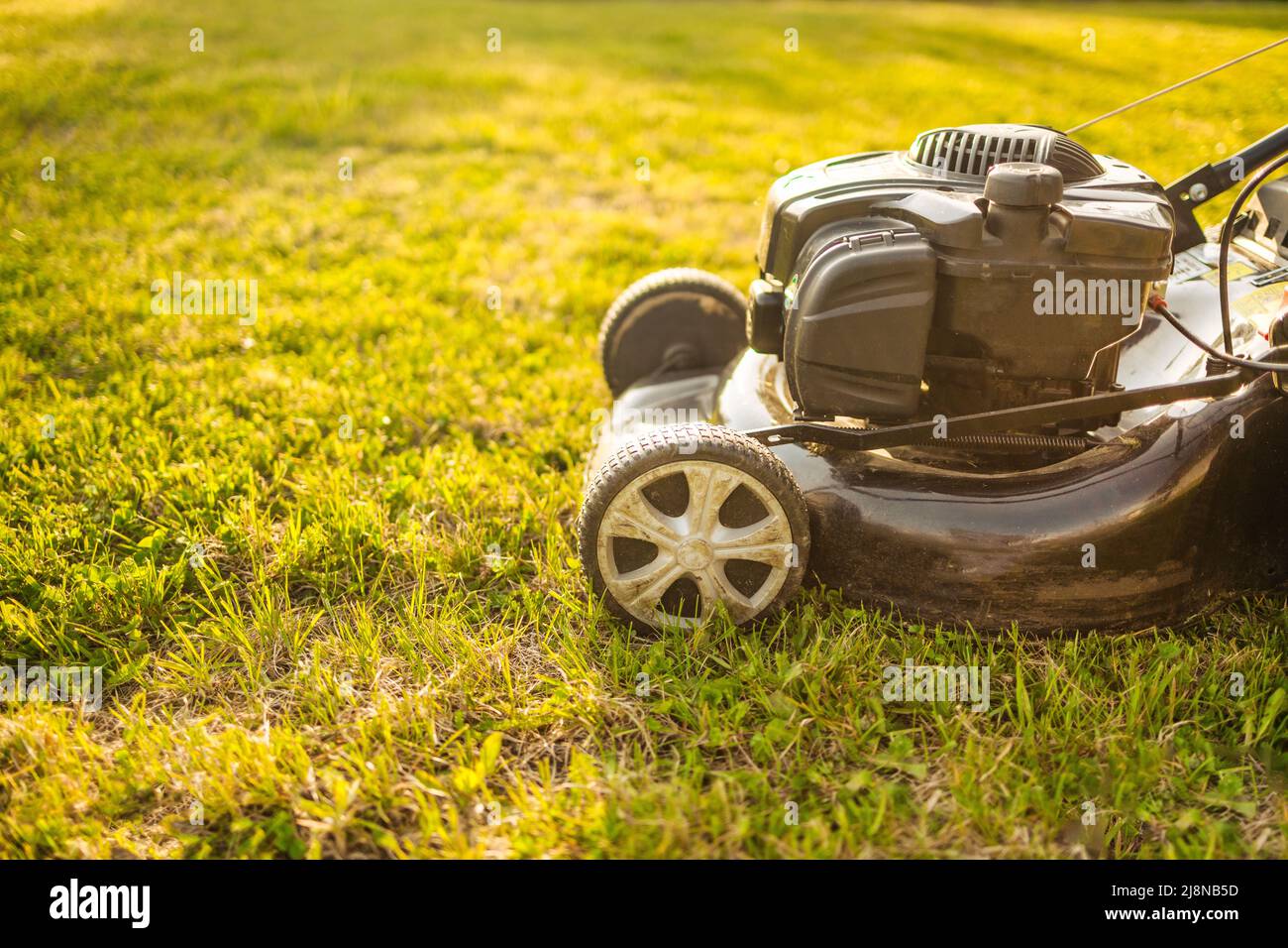 Woman lawn mover cutting hi-res stock photography and images - Alamy