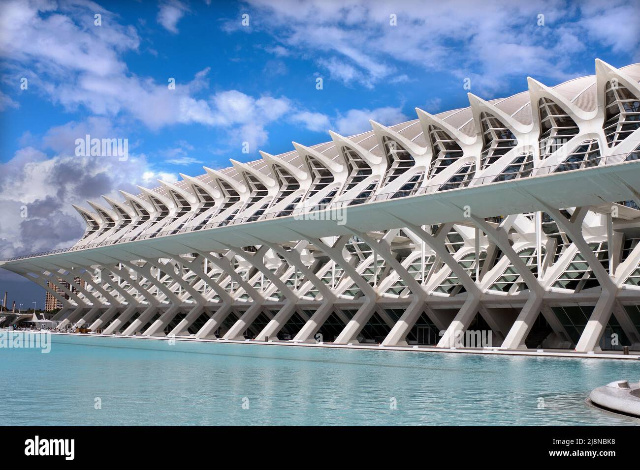 Prince Philip Science Museum, City of Arts and Sciences, Valencia ...