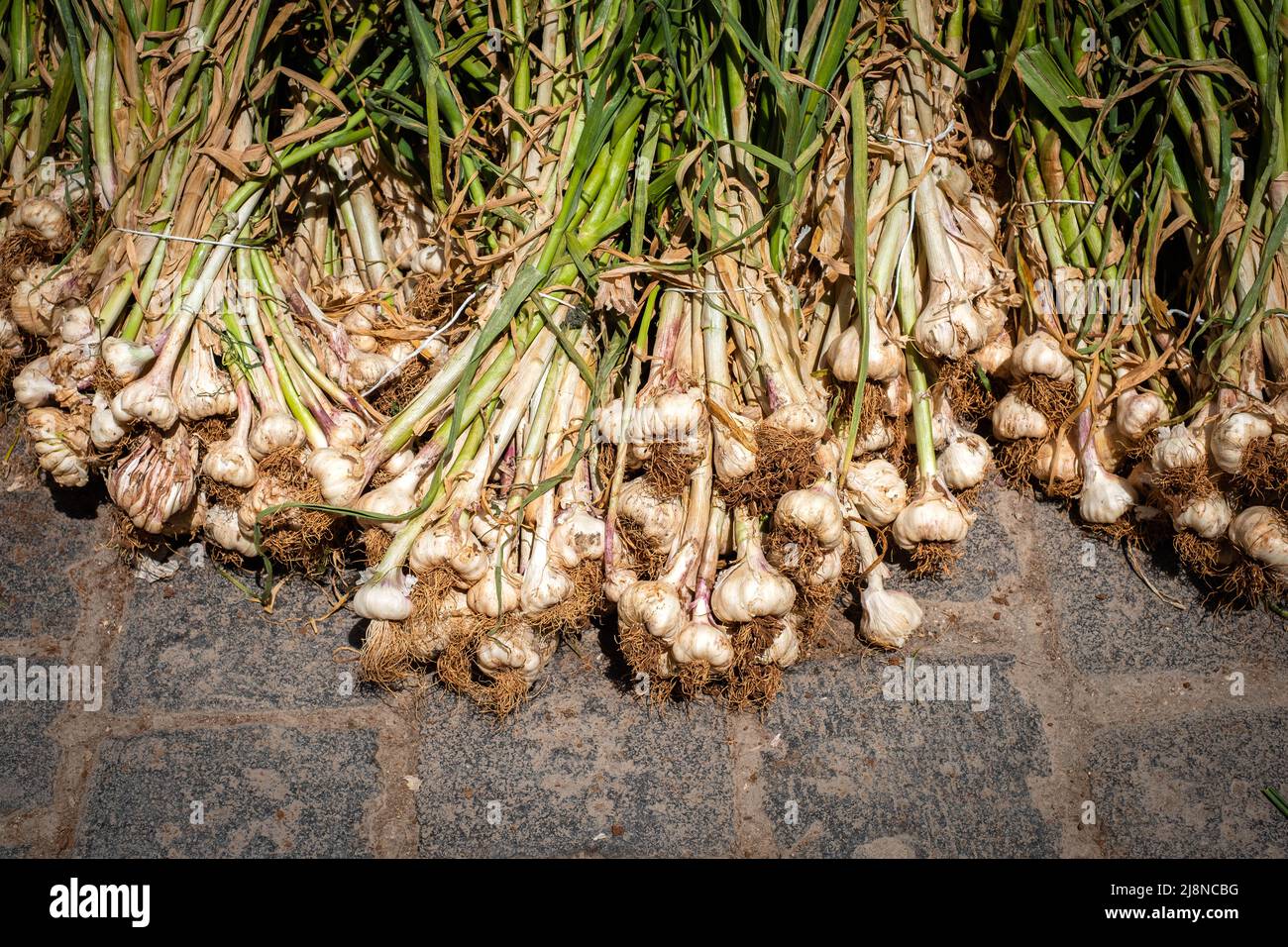 bundles of garlic on street market Stock Photo - Alamy