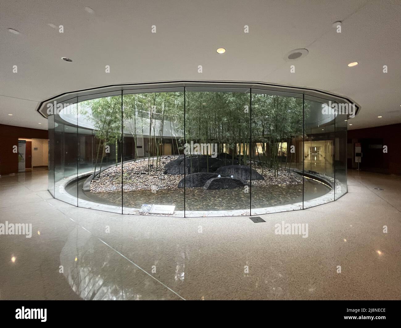 Interior atrium with plants at John Muir Hospital in Walnut Creek ...