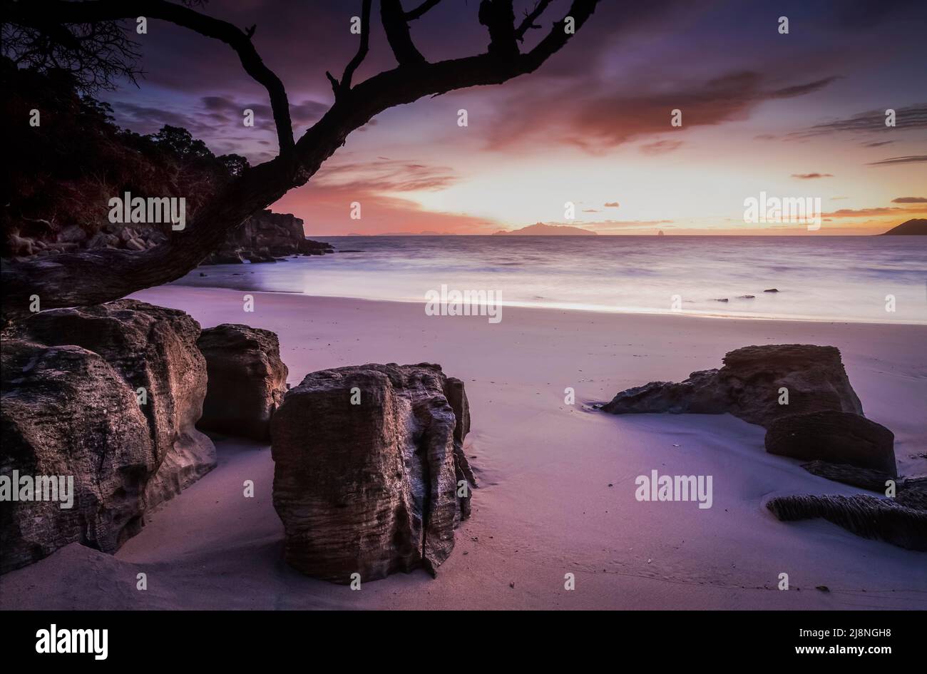 Langs Beach at dawn, North Island, New Zealand, Credit:ROBIN BUSH ...