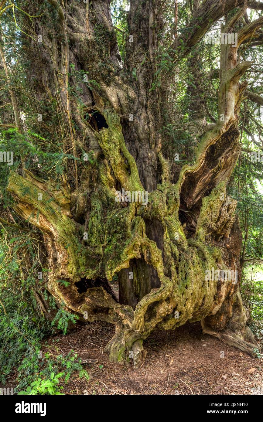 2016 040 hi-res stock photography and images - Alamy