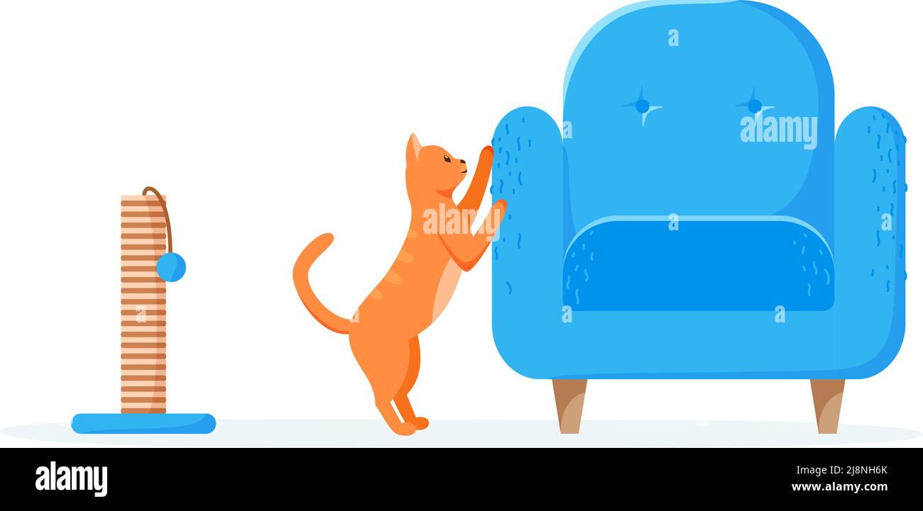 Cat scratching chair but not scratching post. Nasty kitten destroying ...