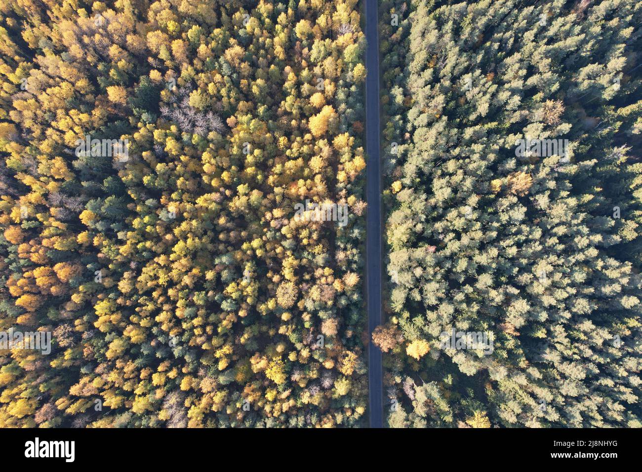 Green transportation hi-res stock photography and images - Alamy