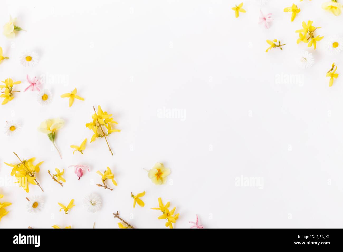 Spring frame of small flowers and daisy, floral arrangement Stock Photo ...