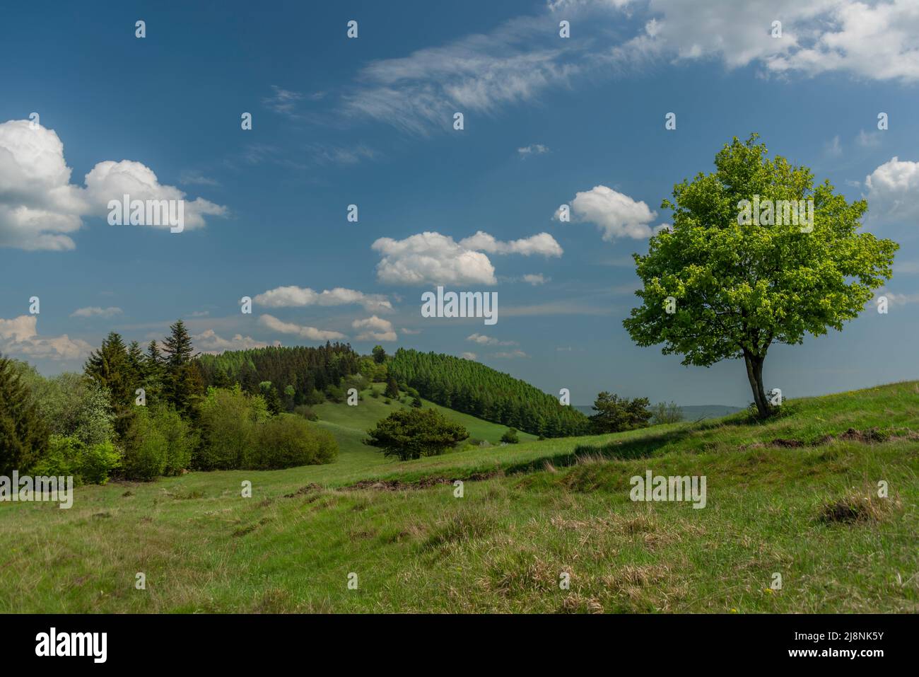 Landscape near Banska Stiavnica town in sping fresh color beautiful ...
