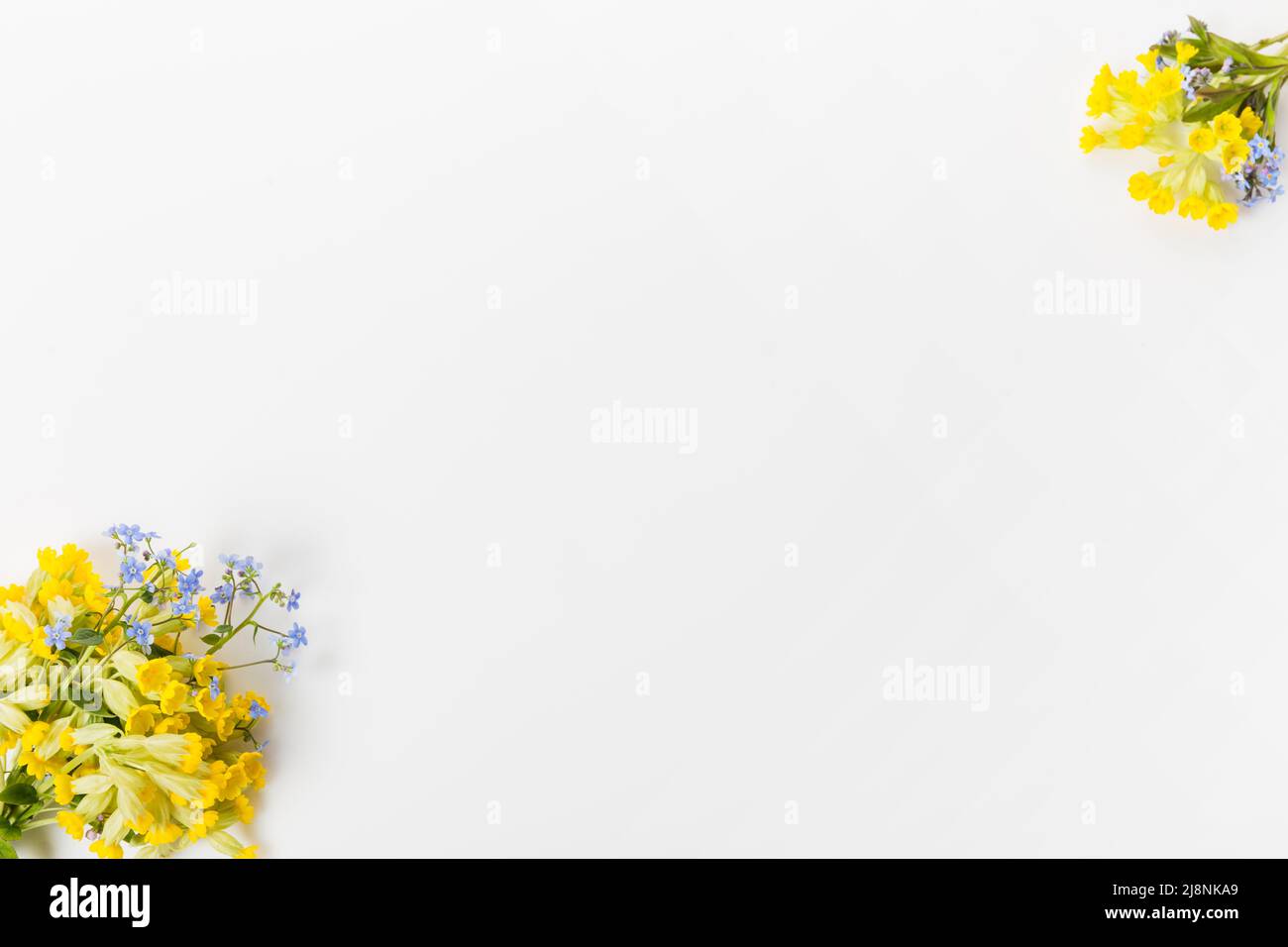 Spring frame of small flowers and daisy, floral arrangement Stock Photo ...