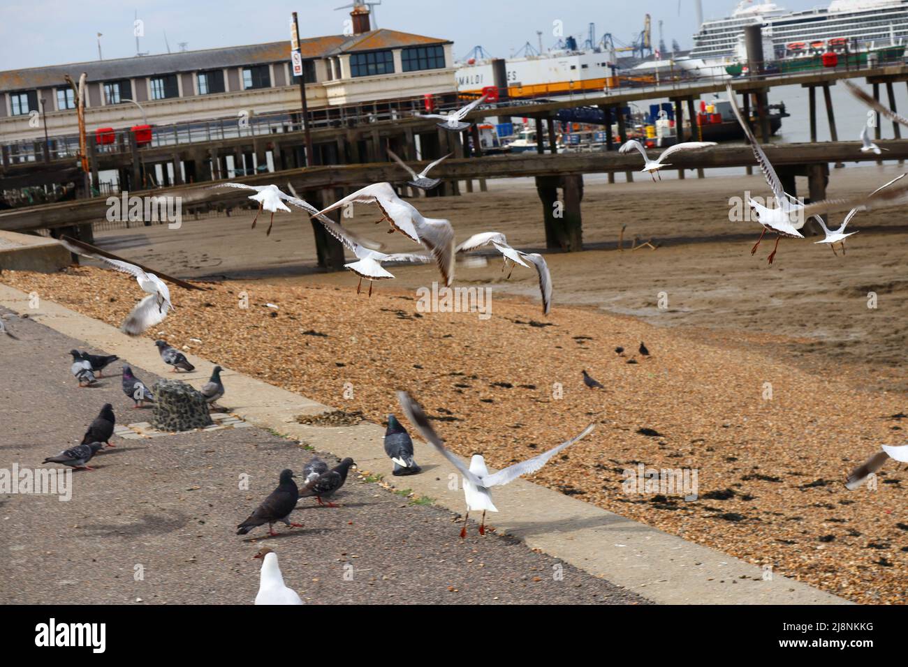 Gravesend heritage hi-res stock photography and images - Alamy
