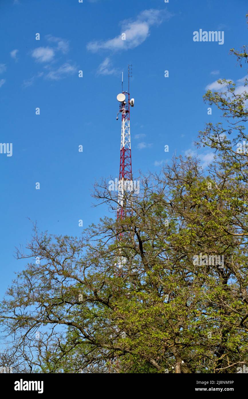 Cell tower towering above the trees, telecommunications tower, vertical ...