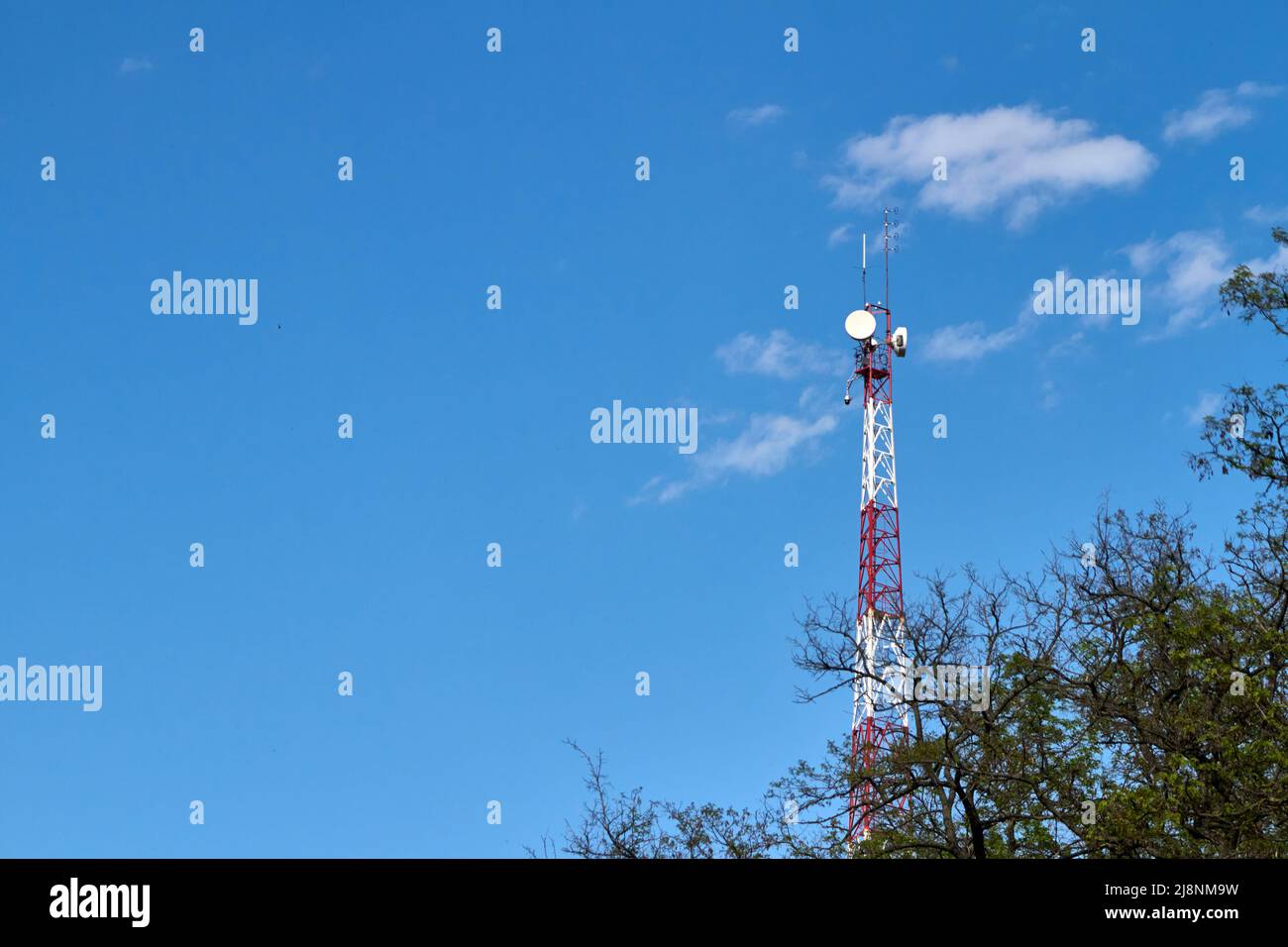 Cell tower rises above the trees, telecommunications tower Stock Photo ...