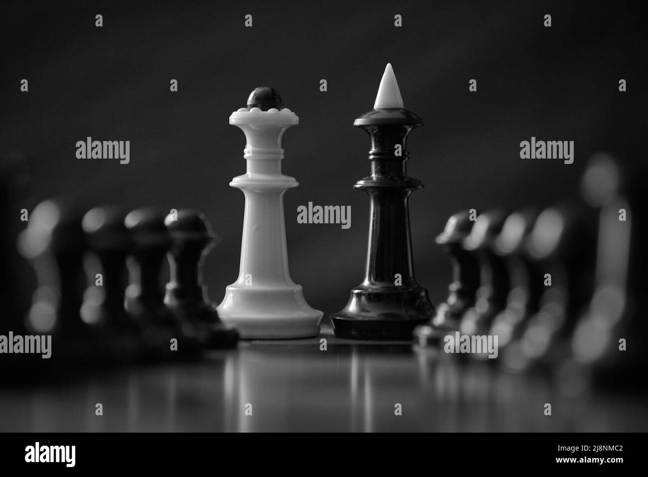 the white queen and the black king made peace, chess pieces on the ...