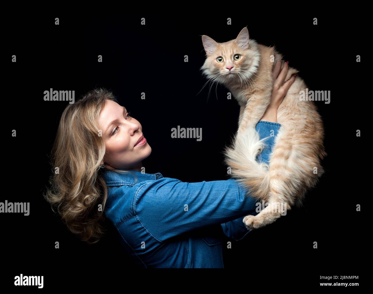Beautiful proprietress posing with her cat on a black background Stock ...