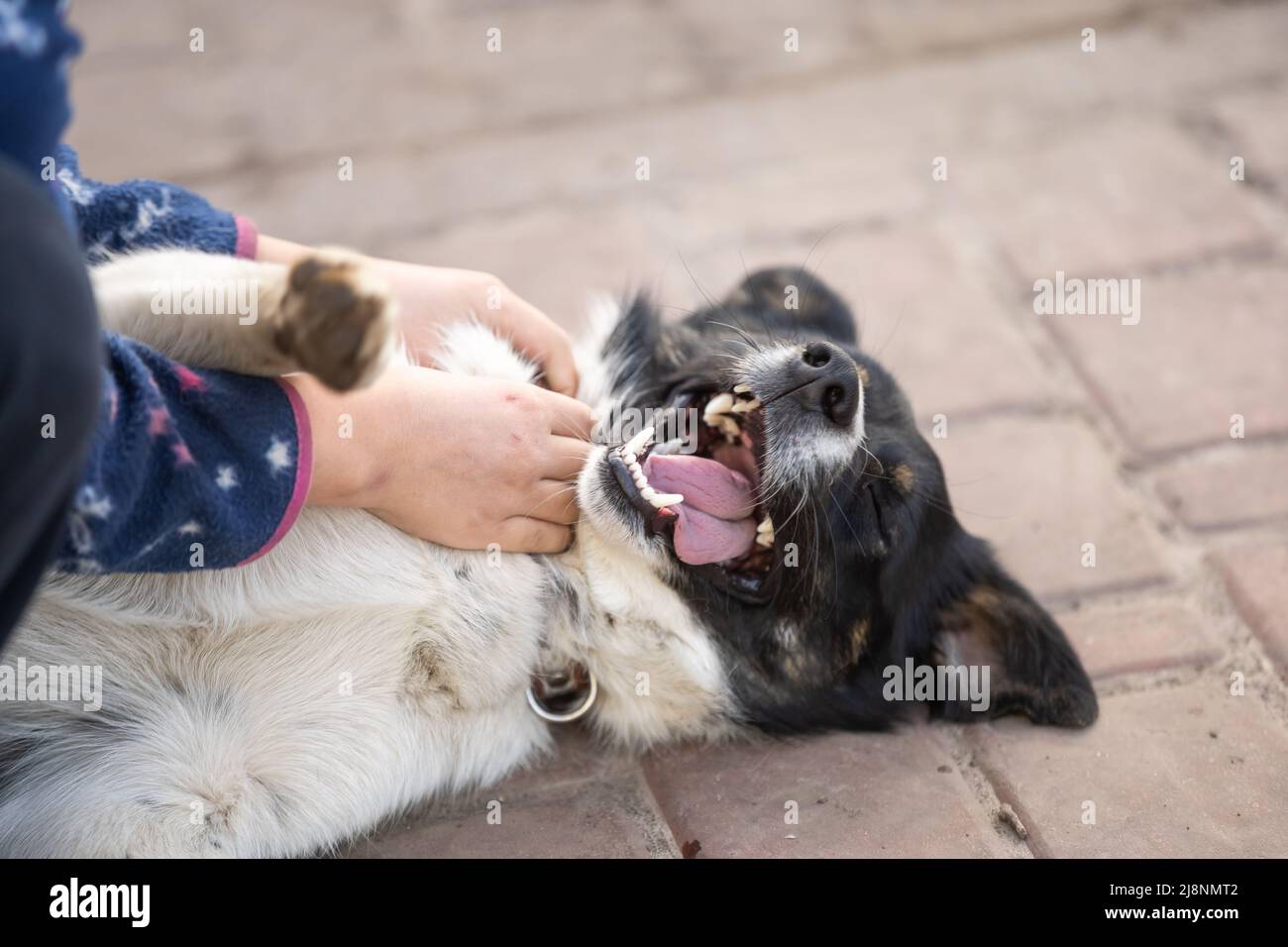 poor little girl with a dog in village Stock Photo - Alamy