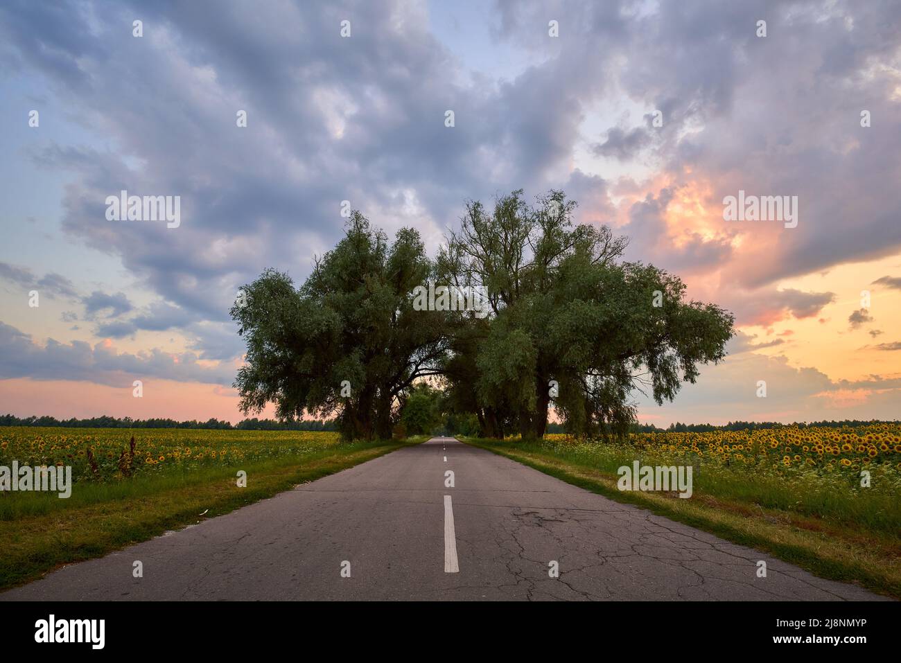 asphalt road in the countryside in Ukraine Stock Photo - Alamy