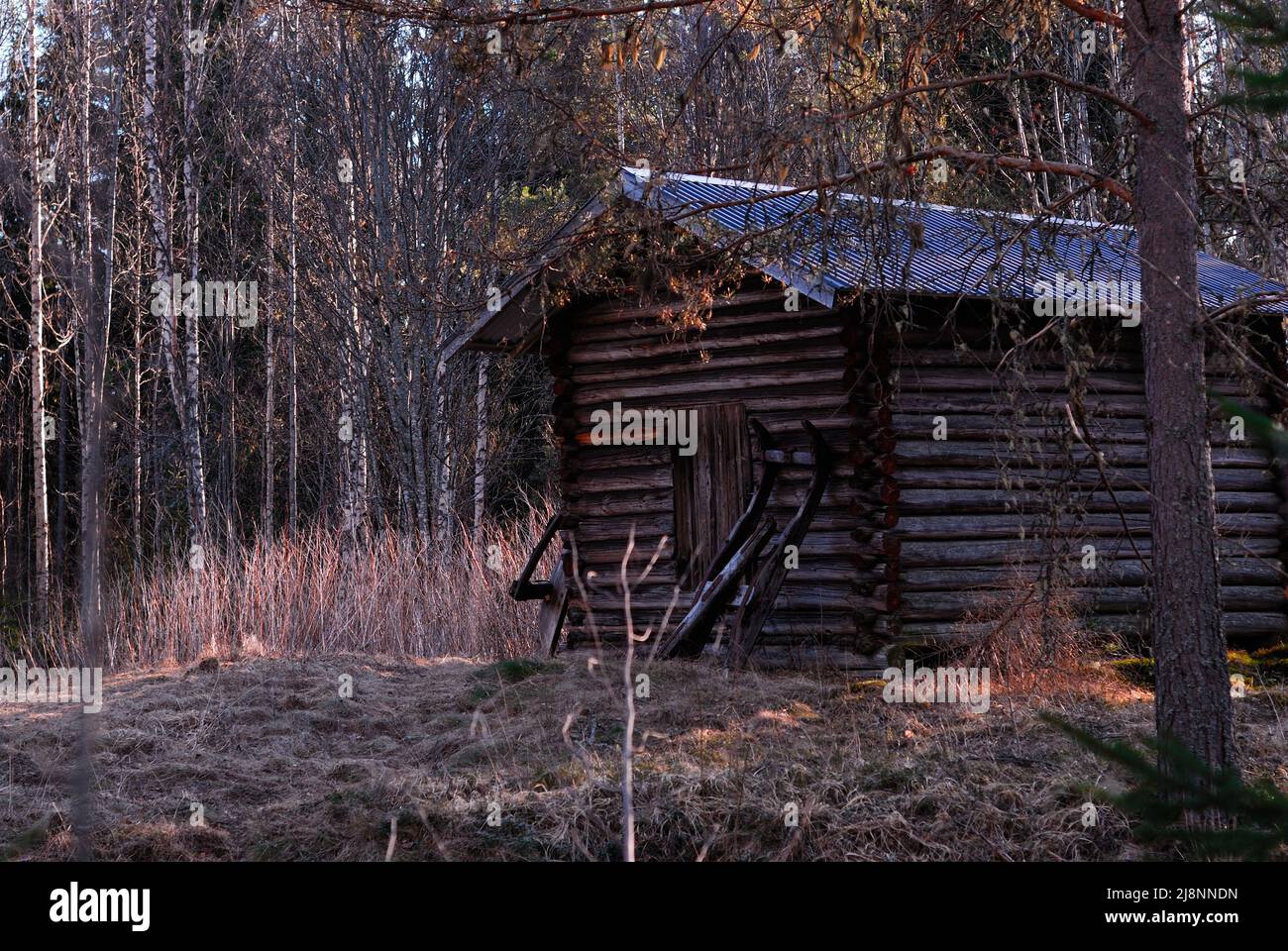 Wooden hidden hi-res stock photography and images - Alamy