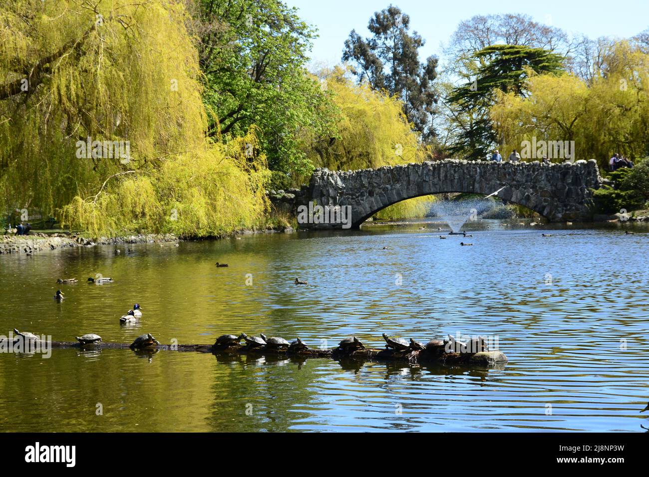 Beacon hill park hi-res stock photography and images - Alamy