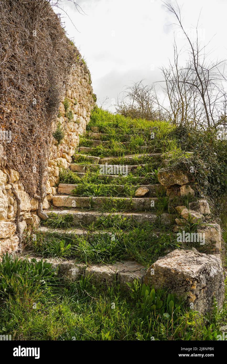 Ancient medieval stone staircase overgrown with weed and grass, Galicia ...