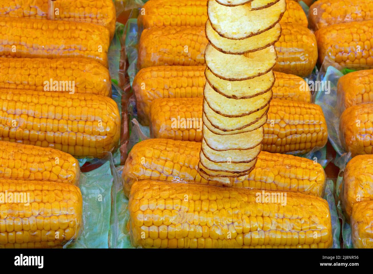 many yellow corned cobs of corn for sale and a skewer of fried potatoes ...