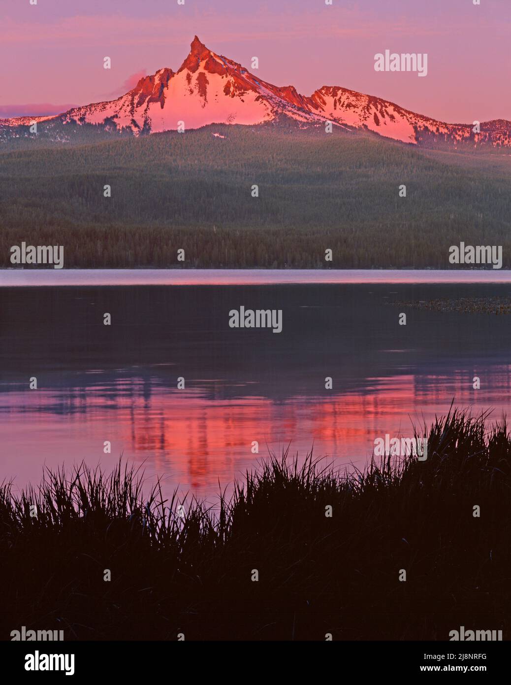 Mt. Thielsen at sunset from Diamond Lake, Cascade Range, Oregon Stock ...