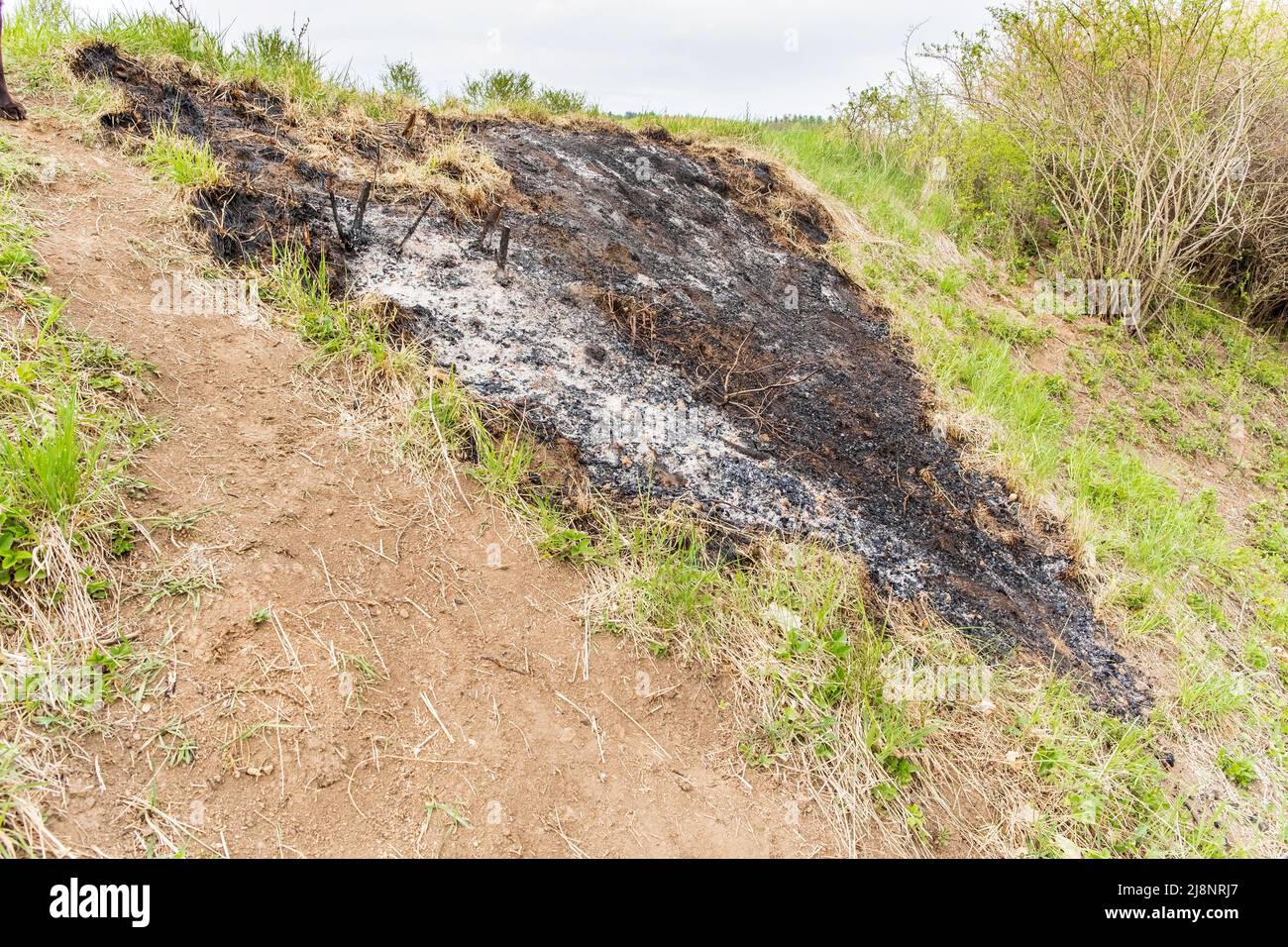 Burnt Grass. Burned Grass Hotsell. Burning grass on the hillside Stock ...