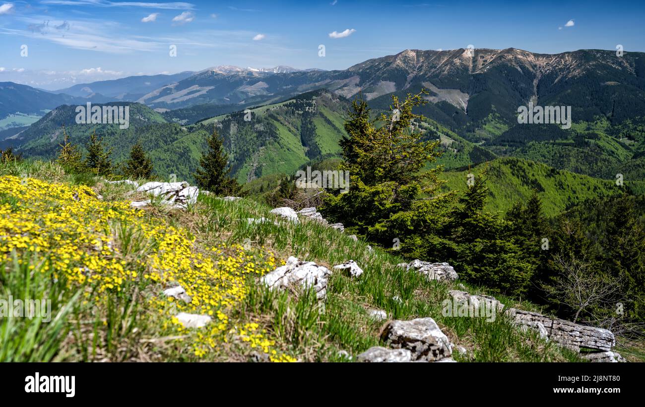 Colorful spring mountain landscape. Mount Velka Chochula, the Low ...