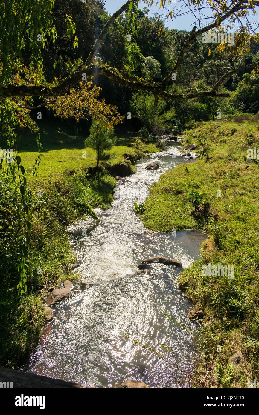 Brazil countryside hi-res stock photography and images - Alamy