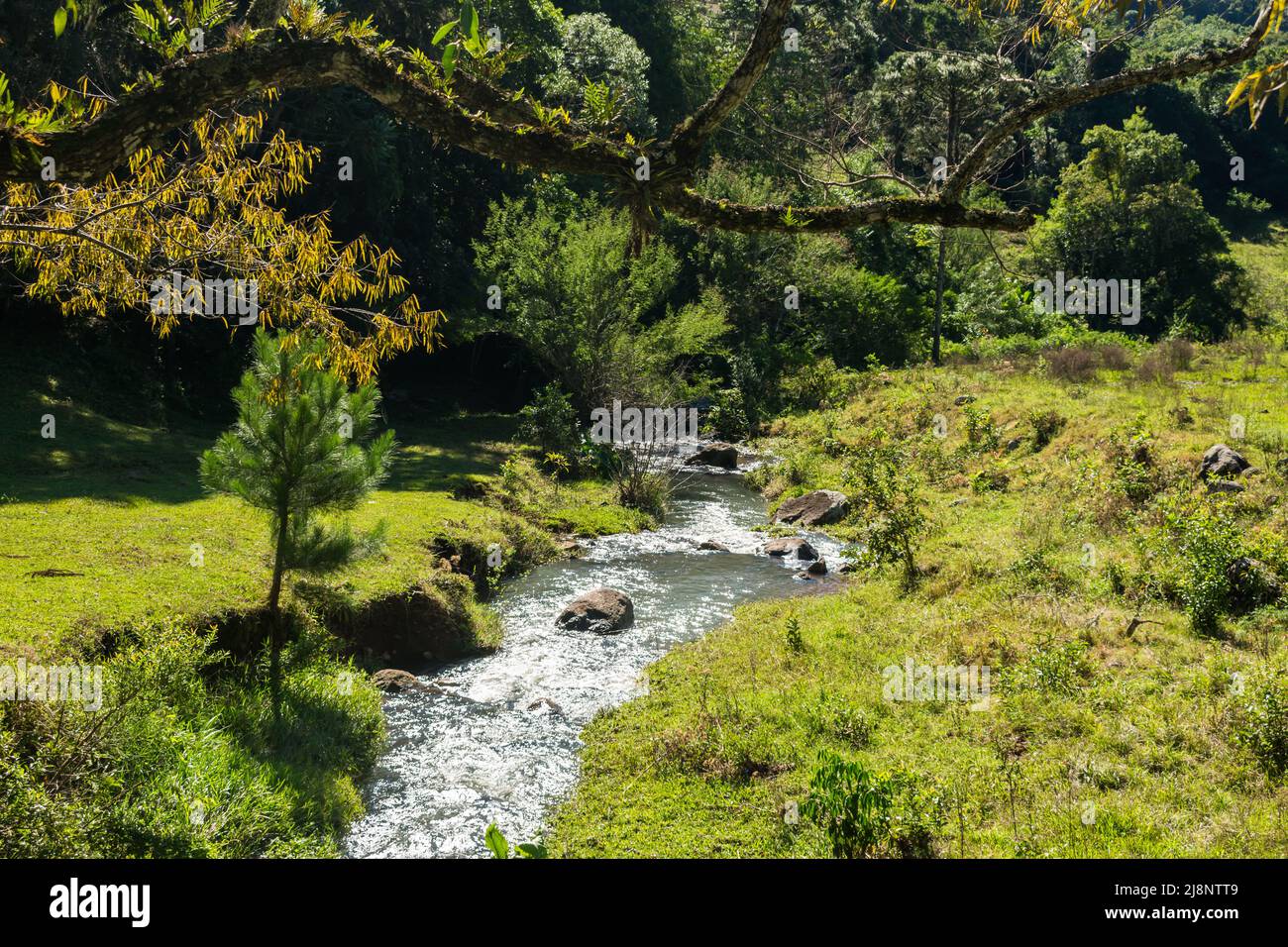 Brazil countryside hi-res stock photography and images - Alamy