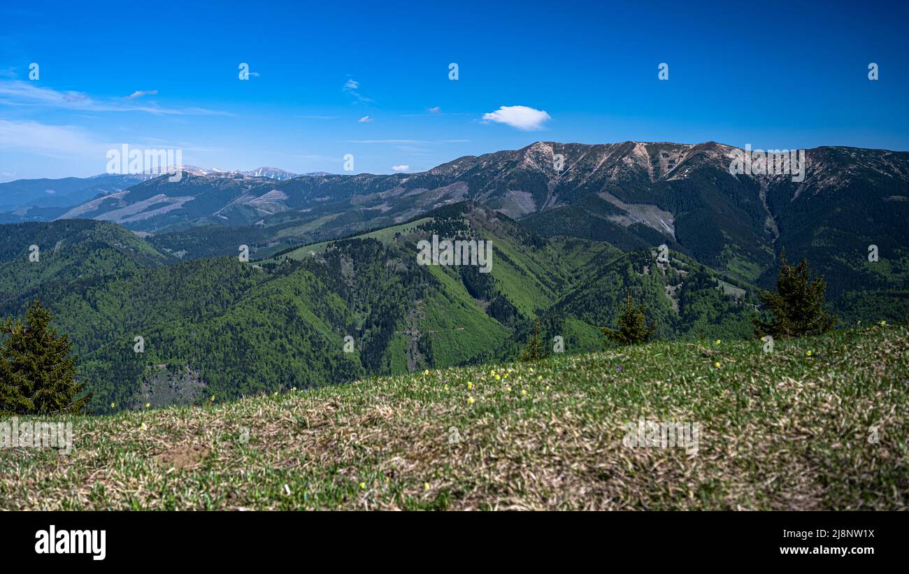 Colorful spring mountain landscape. Mount Velka Chochula, the Low ...