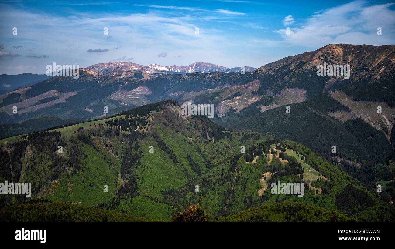 Velka chochula hi-res stock photography and images - Alamy