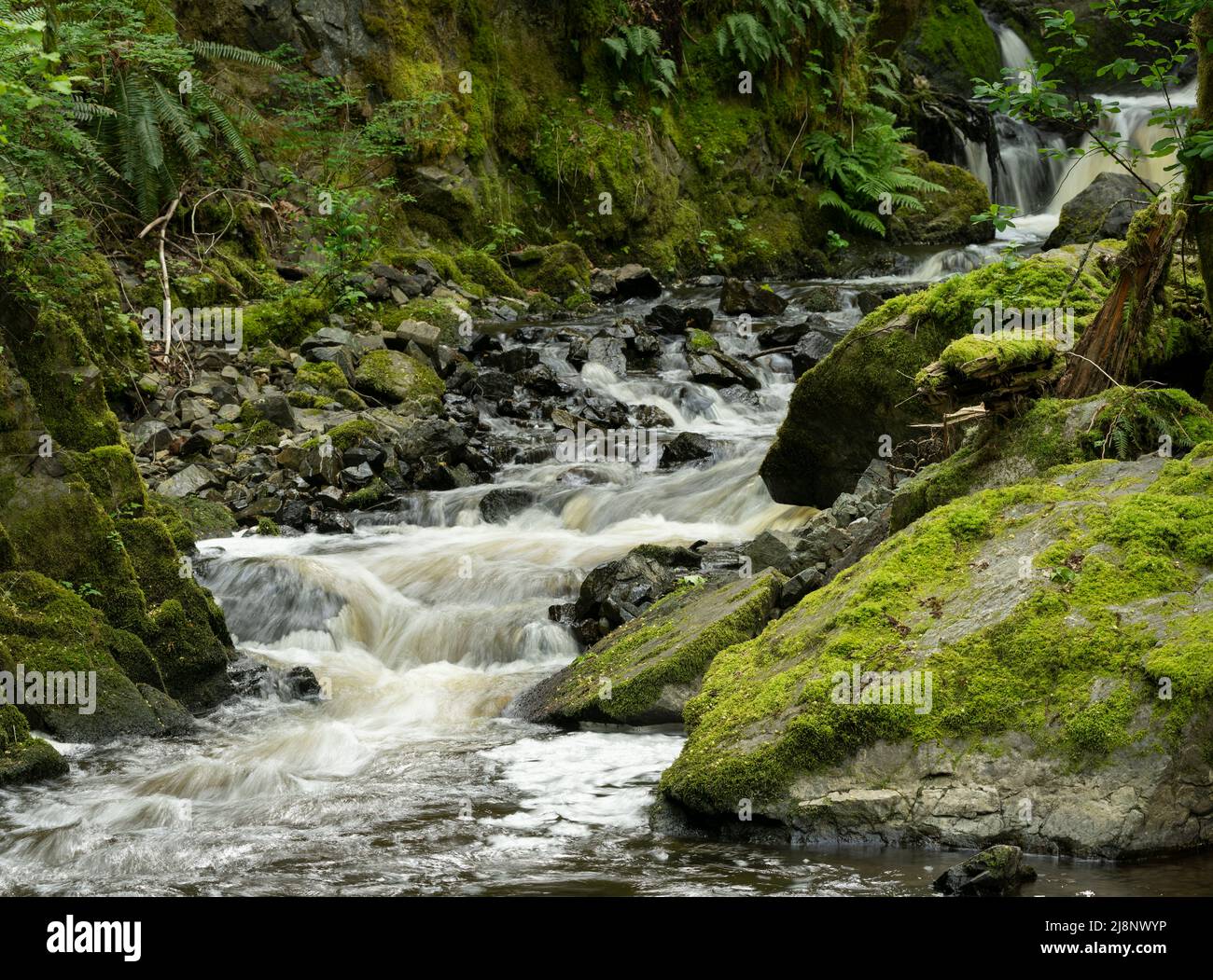 Waterfalls on Tod Creek in Gowlland Tod Provincial Park in British ...