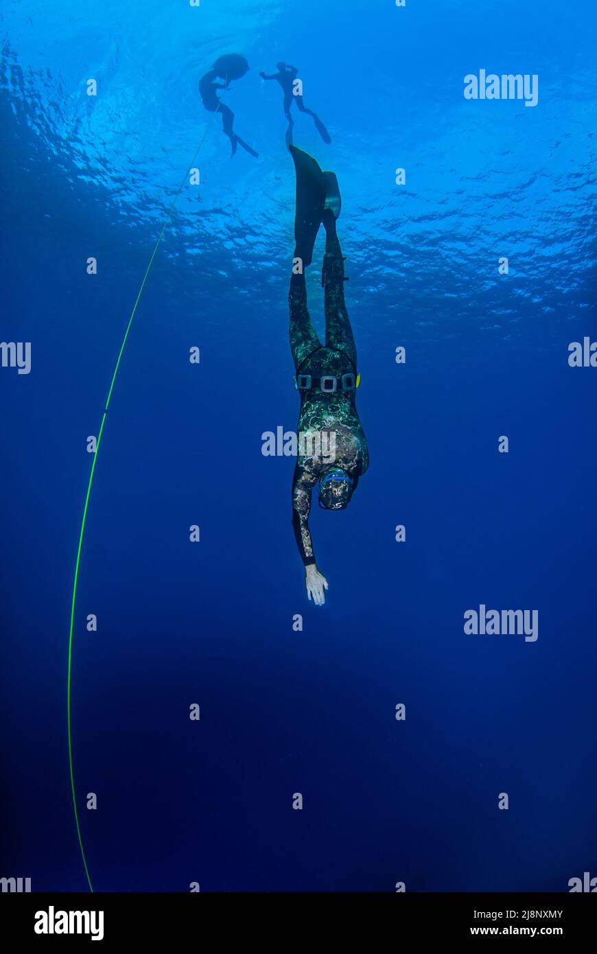 Freediver training with a line in the open sea Stock Photo - Alamy
