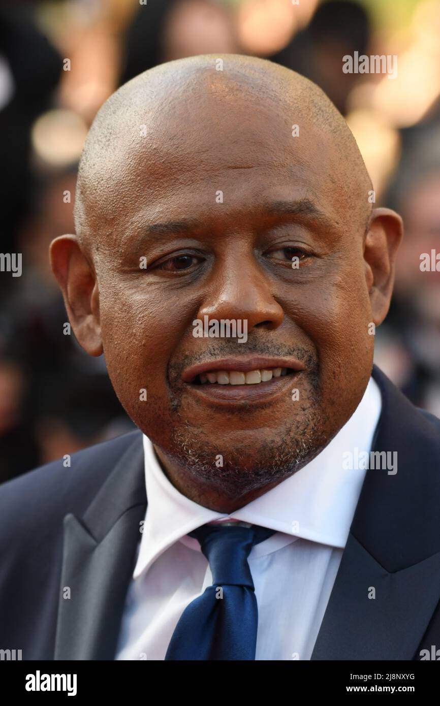 Cannes, France. 17th May, 2022. 75th Cannes Film Festival 2022. Red ...