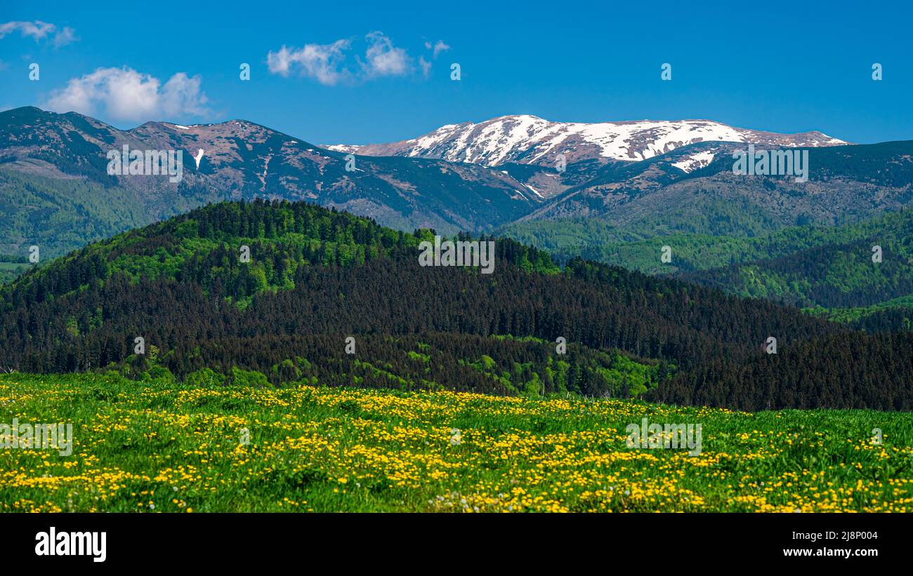 Colorful spring mountain landscape. Mount Dumbier, the Low Tatras ...