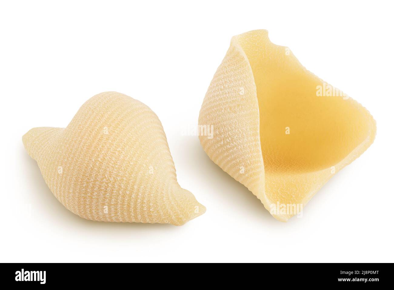 Conchiglioni italian pasta isolated on white background with clipping ...