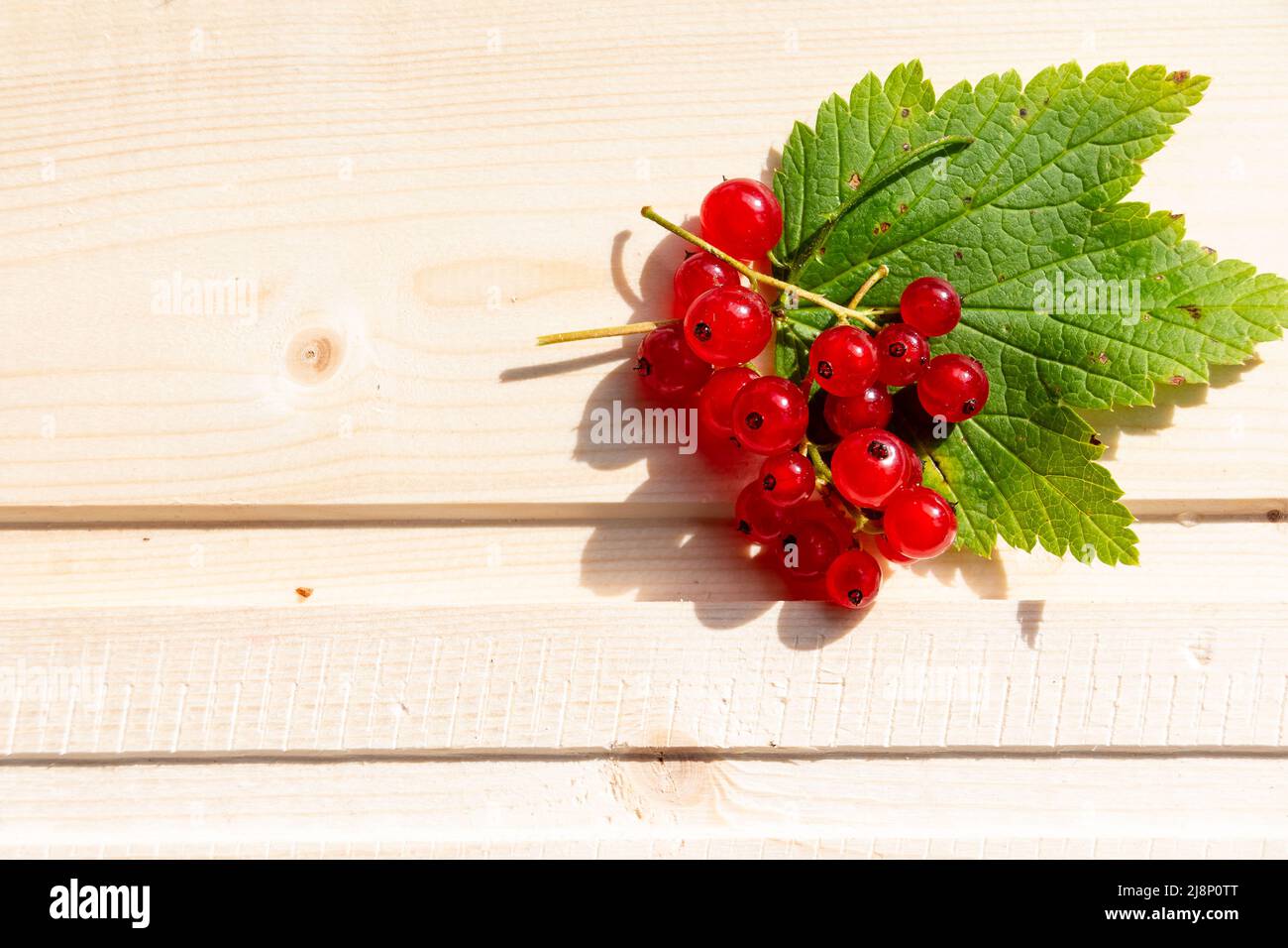 Red currant berries and leaves composition and creative frame isolated ...