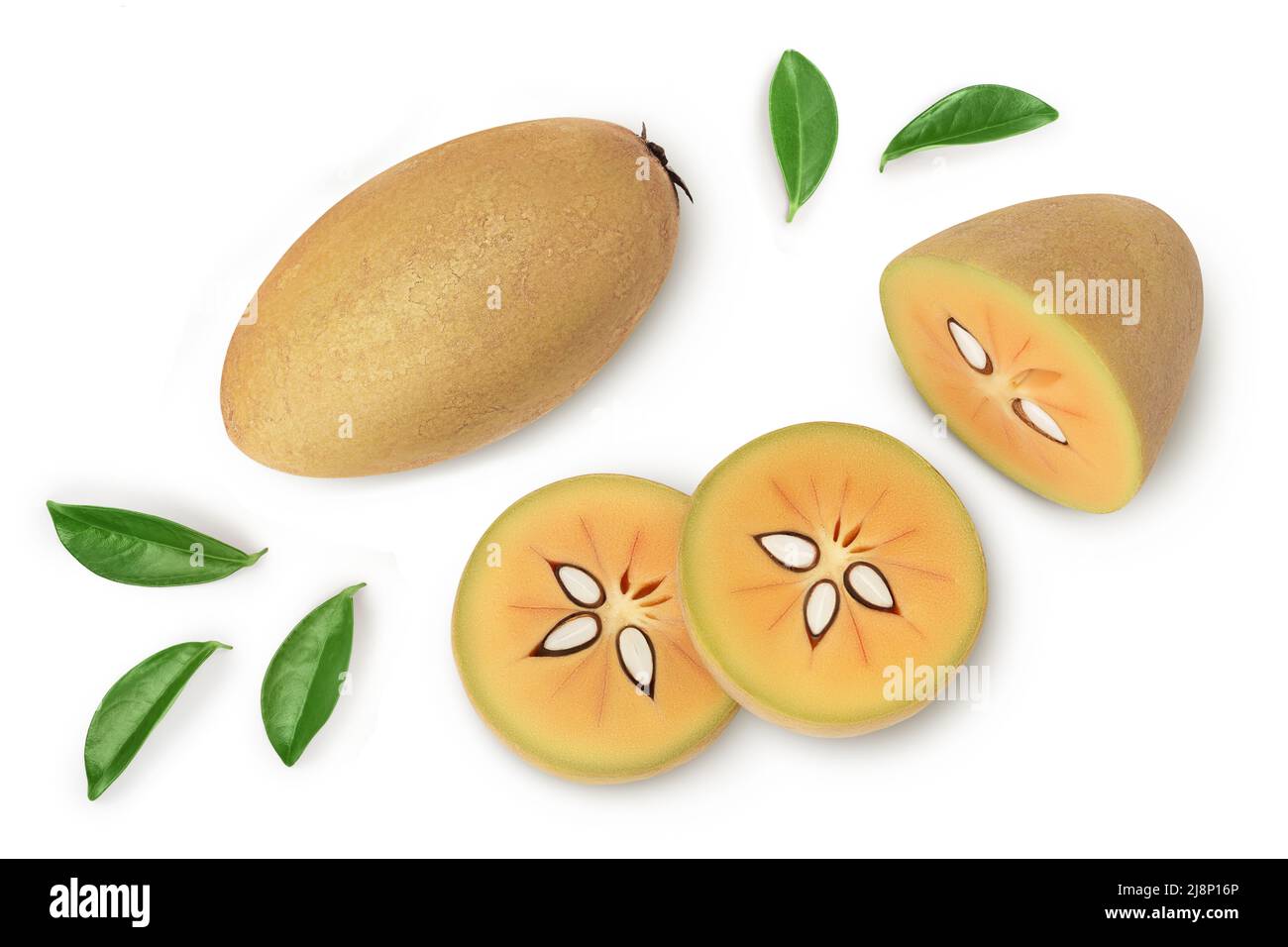 Sapodilla isolated on white background with clipping path and full ...