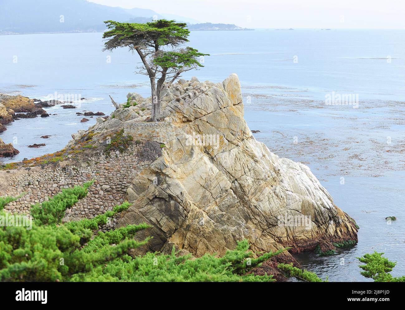 Big Sur, California, USA. 29th Sep, 2015. This well known lone Cypress ...