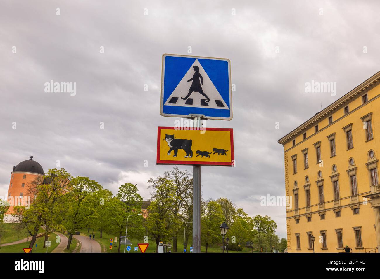 Close up view of crosswalk sign on green trees and grey sky background ...