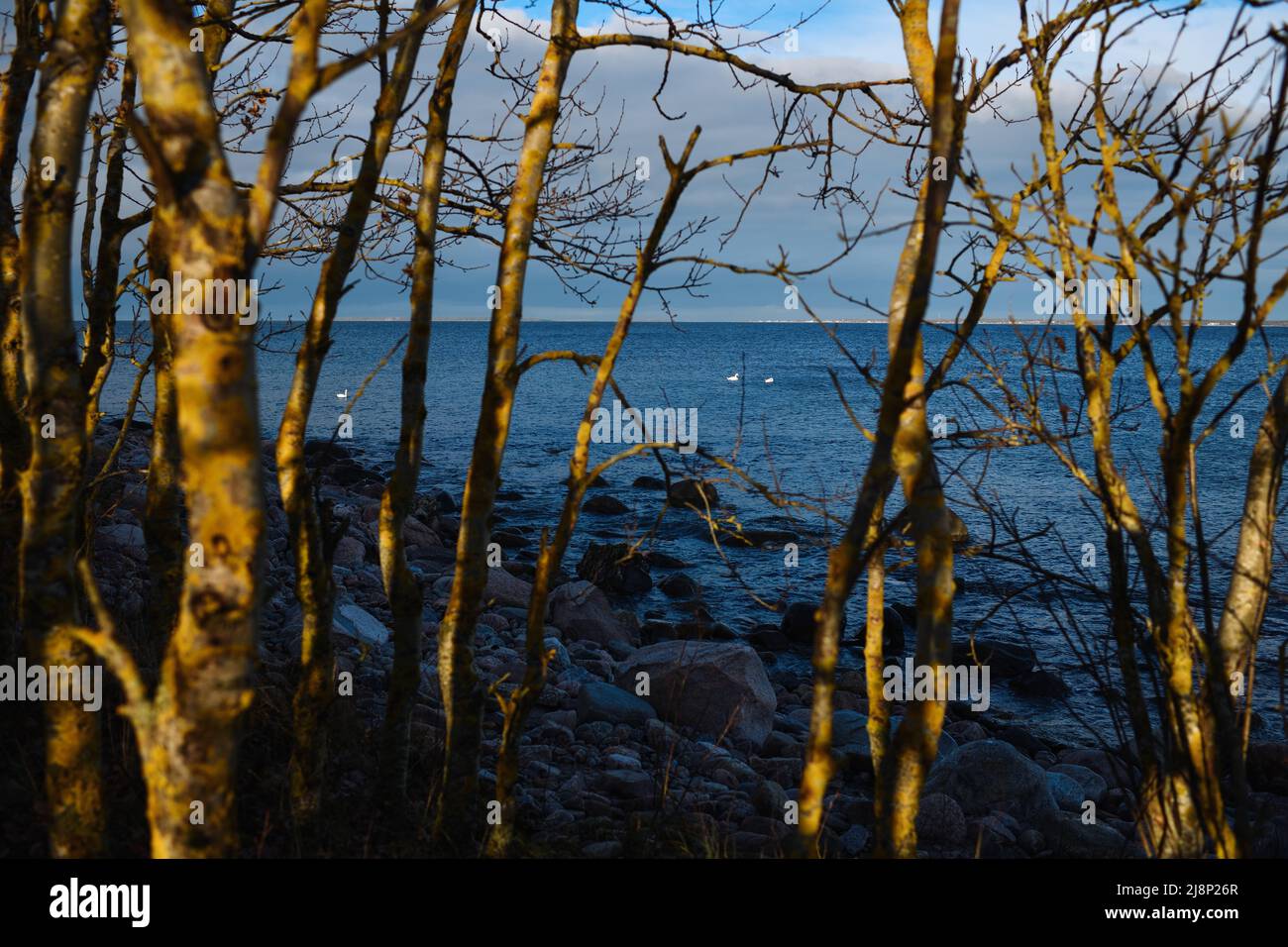 Paljassaare Peninsula in the Tallinn Bay, Estonia Stock Photo - Alamy