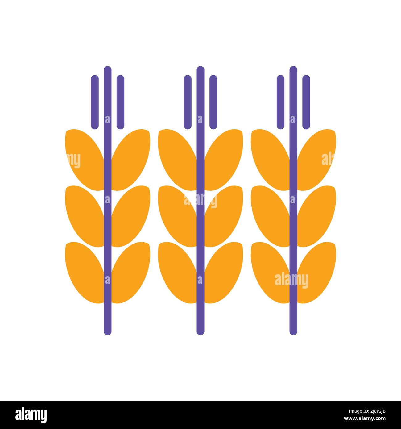 Spikelets and grains of wheat glyph icon. Agriculture sign. Graph symbol for your web site ...